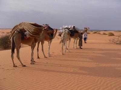 Les dunes de Chinguetti