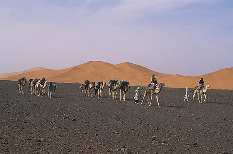 Méharée dans l'Ahnet : le circuit des ergs